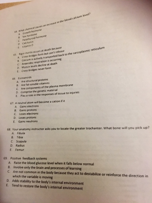 Solved 58. Ossification that involves replacing cartilage | Chegg.com