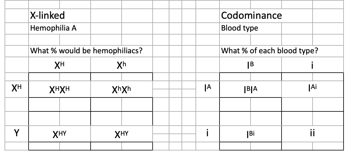 Solved X-linked Hemophilia A Codominance Blood type What % | Chegg.com