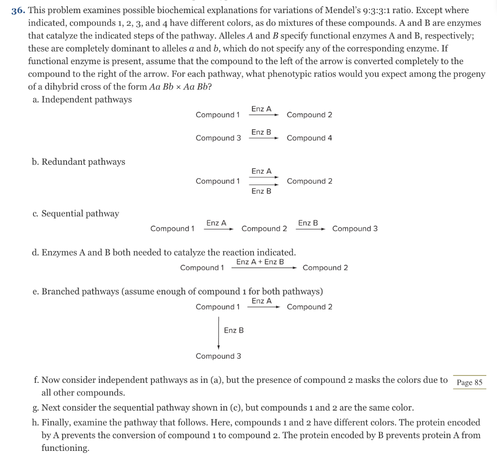 Solved 36. This problem examines possible biochemical | Chegg.com