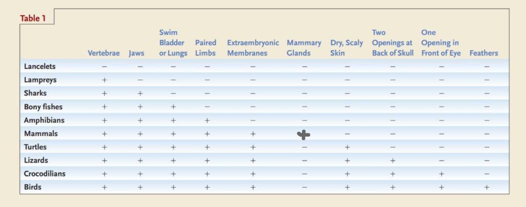 Solved b. Amphibians, birds, bony fishes, crocodilians, | Chegg.com ...