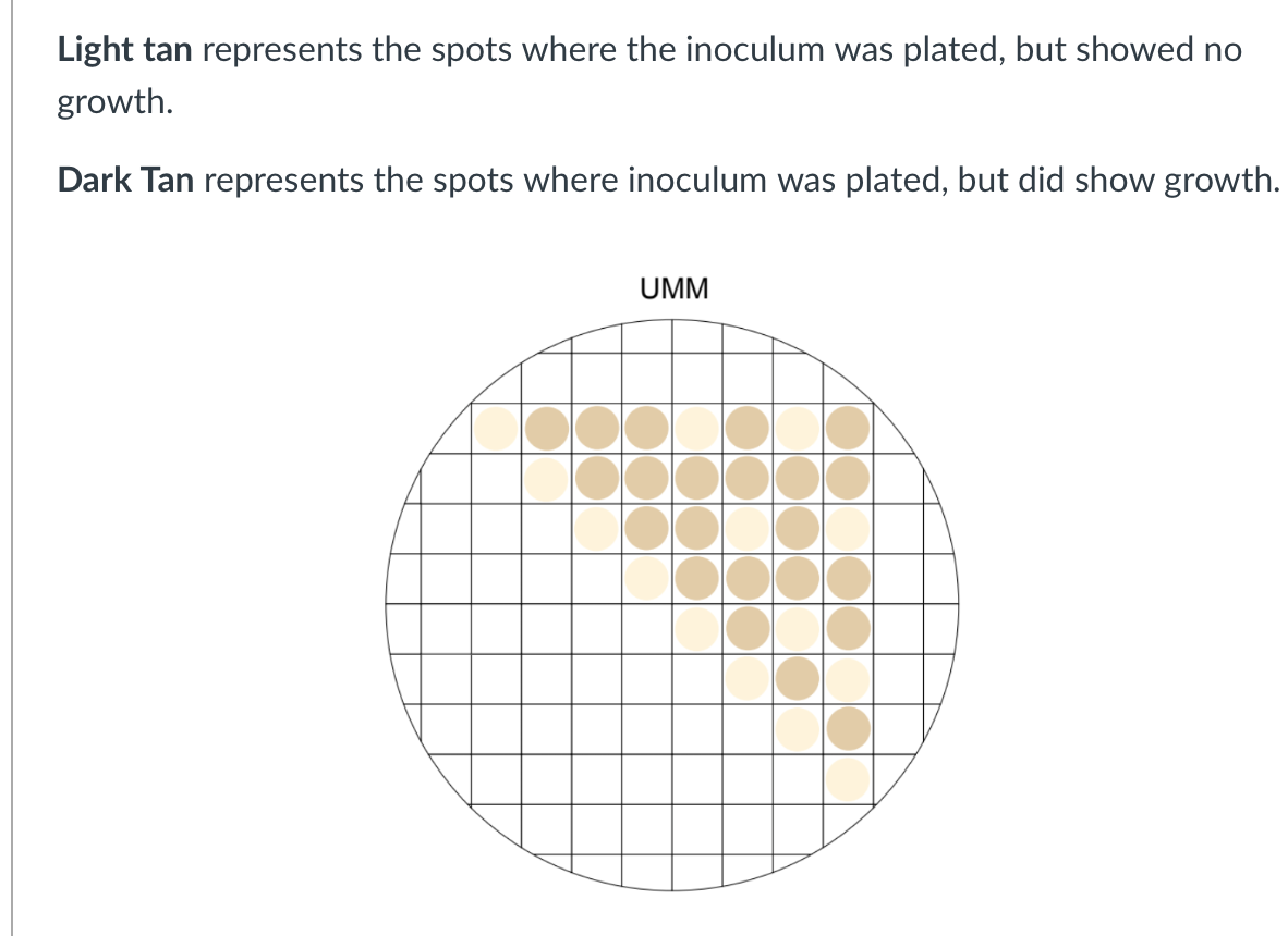 Solved Light tan represents the spots where the inoculum was | Chegg.com