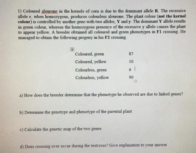Solved 1) Coloured aleurone in the kernels of com is due to | Chegg.com