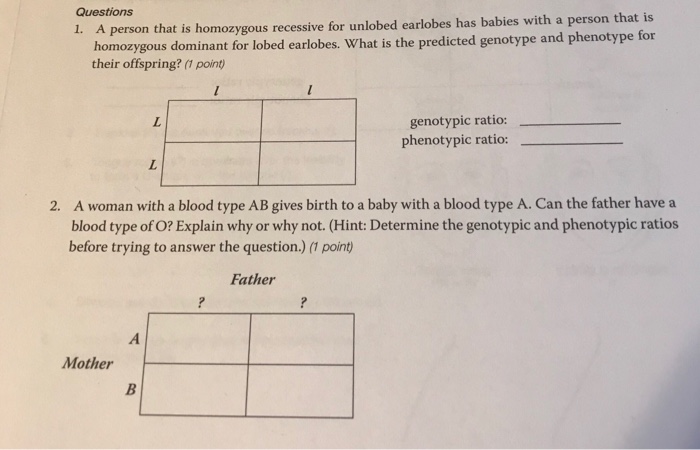 Solved Questions A person that is homozygous recessive for | Chegg.com