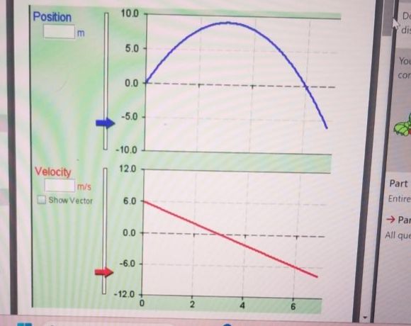 Solved A. Initial position is positive. (Position t=0 is | Chegg.com