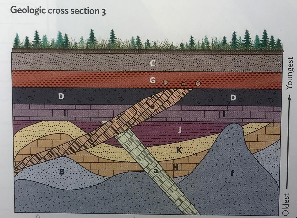 Solved Now let's add some numerical ages to the cross | Chegg.com