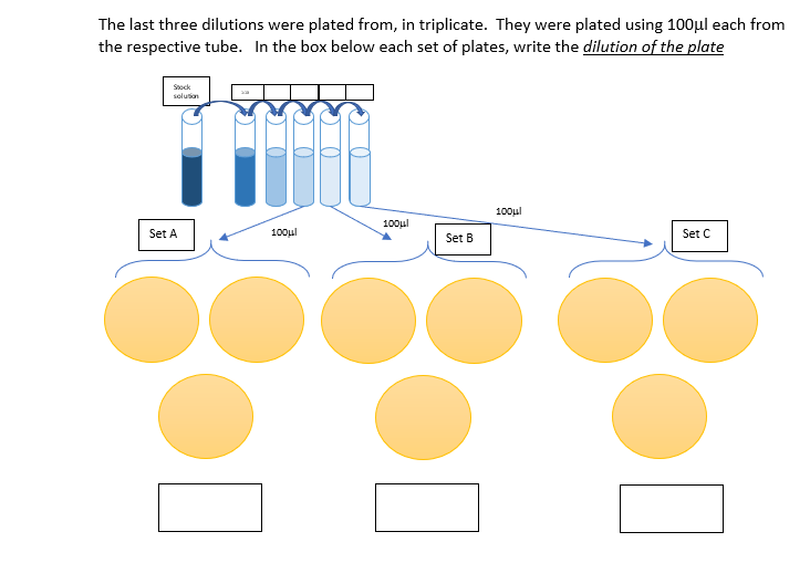 Solved Part I: Calibrating CFU/ml with Optical Density at | Chegg.com