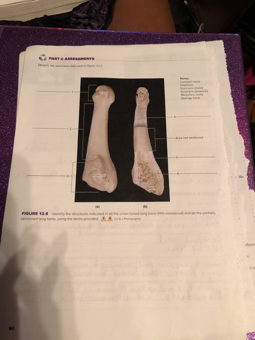 Solved PART C ASSESSMENTS Idencify the structones indicated | Chegg.com