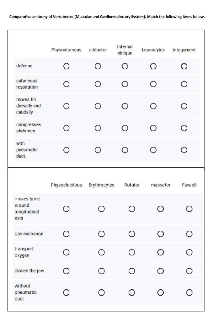 Solved Comparative anatomy of Vertebrates (Muscular and | Chegg.com