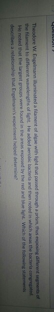 Solved Theodore W. Engelmann illuminated a filament of algae | Chegg.com