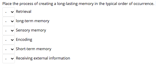 Solved Place the process of creating a long-lasting memory | Chegg.com