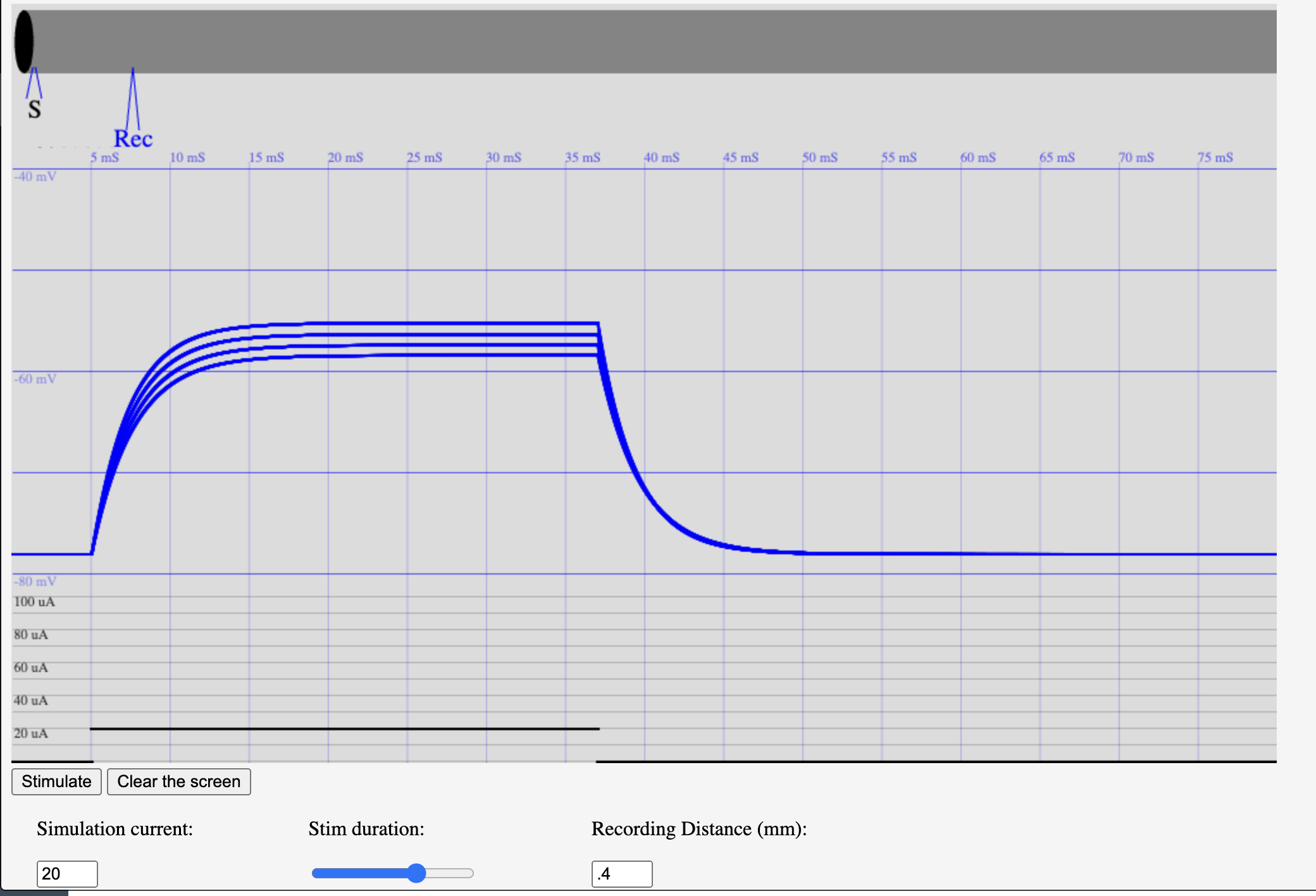 Solved Using the Passive properties simulation ( ﻿image | Chegg.com