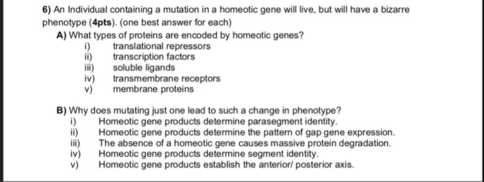 Solved 6) An Individual containing a mutation in a homeotic | Chegg.com