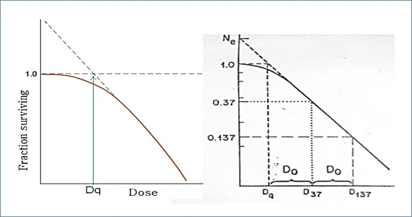 The figure shows mammalian cell survival curves for | Chegg.com
