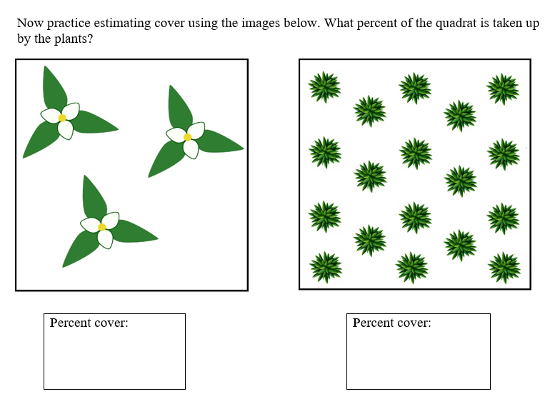 Solved Now practice estimating cover using the images below. | Chegg.com
