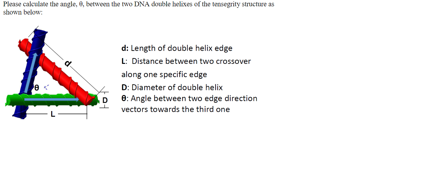 Please calculate the angle, 0, between the two DNA | Chegg.com