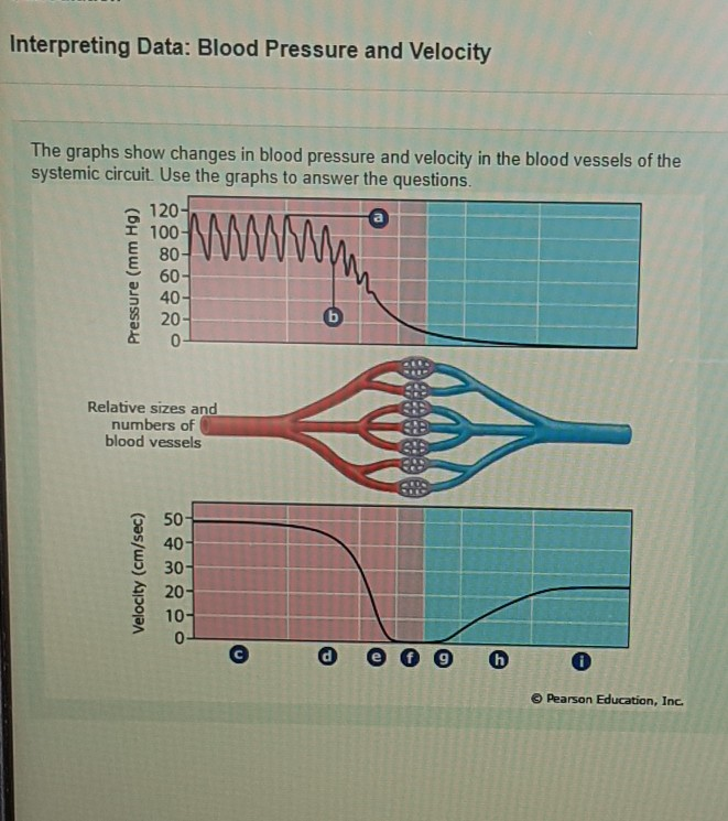 Solved: A. Which Letter Indicates Systolic Pressure? B. Wh... | Chegg.com