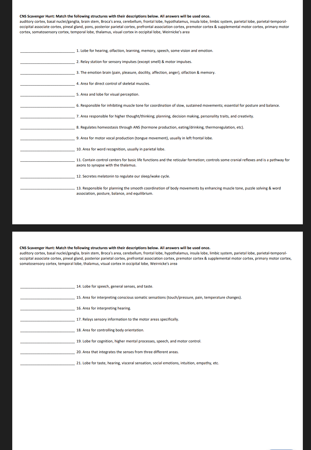 Solved CNS Scavenger Hunt: Match the following structures | Chegg.com