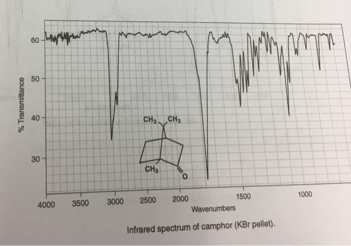 Solved 1) Interpret the major absorption bands in the IR | Chegg.com