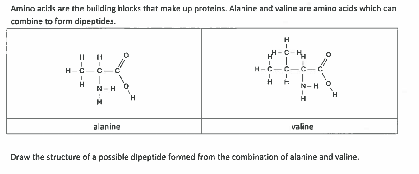 Solved Amino acids are the building blocks that make up | Chegg.com