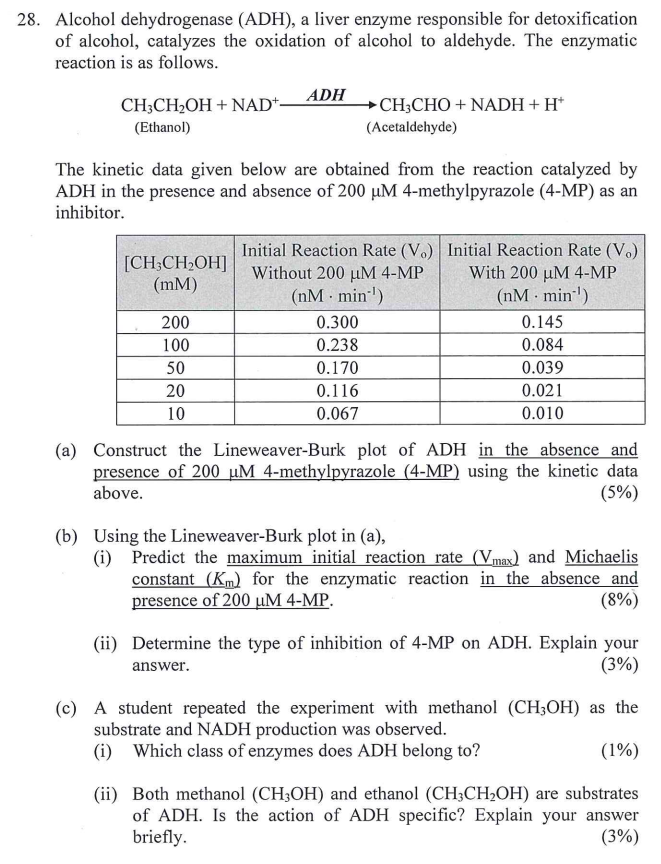 Solved 28. Alcohol dehydrogenase (ADH), a liver enzyme | Chegg.com