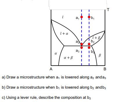 Solved The graph represents the phase diagram, where y axis | Chegg.com