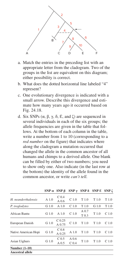 Solved A cladogram (not drawn to scale) ﻿for the taxonomic | Chegg.com