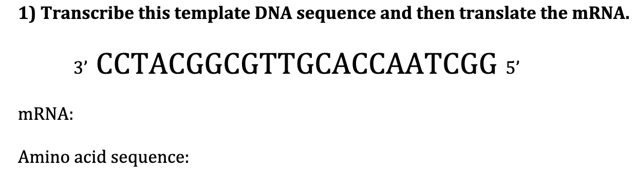 Solved Transcribe this template DNA sequence and then | Chegg.com Solved Transcribe this template DNA sequence and then | Chegg.com