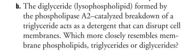 Solved b. The diglyceride (lysophospholipid) formed by the | Chegg.com
