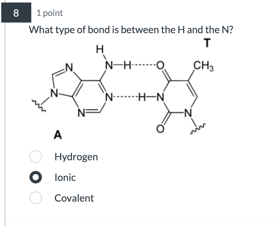 Solved What type of bond is between the H ﻿and the N ? | Chegg.com