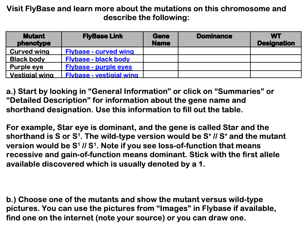 Solved Visit FlyBase and learn more about the mutations on | Chegg.com
