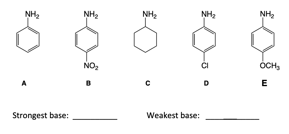Solved Identify the strongest and the weakest base among the | Chegg.com
