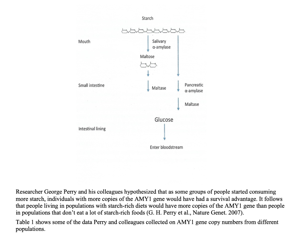 Solved Question #2: ALL STUDENTS In humans, the AMY1 gene on | Chegg.com