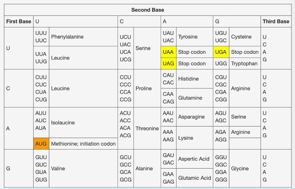 Solved 1. Use the diagram representing how a cell regulates | Chegg.com
