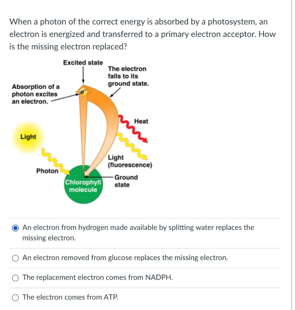 Solved It's one question with 5 parts. please if you don't | Chegg.com
