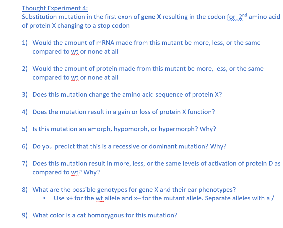 Solved Thought Experiment 4: Substitution mutation in the | Chegg.com