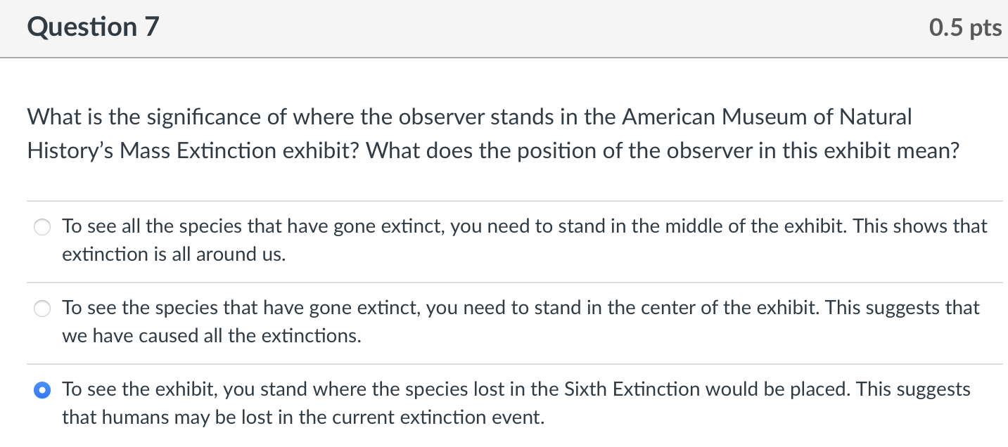 Solved What is the significance of where the observer stands | Chegg.com