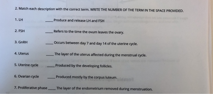 Solved 2. Match each description with the correct term. | Chegg.com