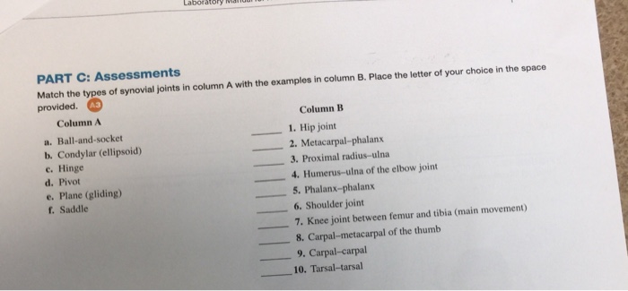 Solved PART C: Assessments Match the types of synovial | Chegg.com Solved PART C: Assessments Match the types of synovial | Chegg.com