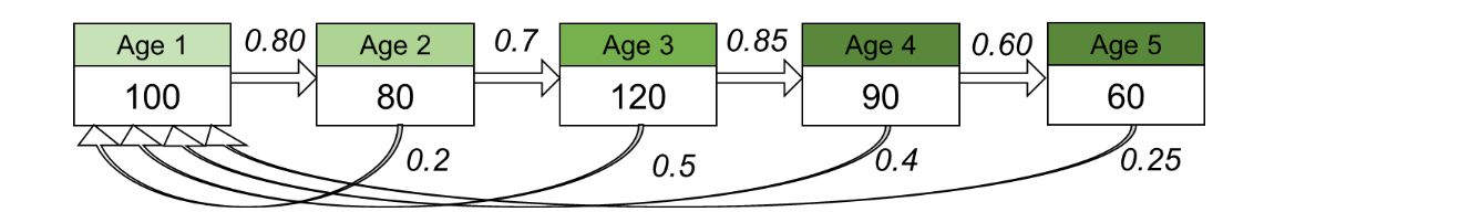 Build the Leslie Matrix that corresponds to the | Chegg.com