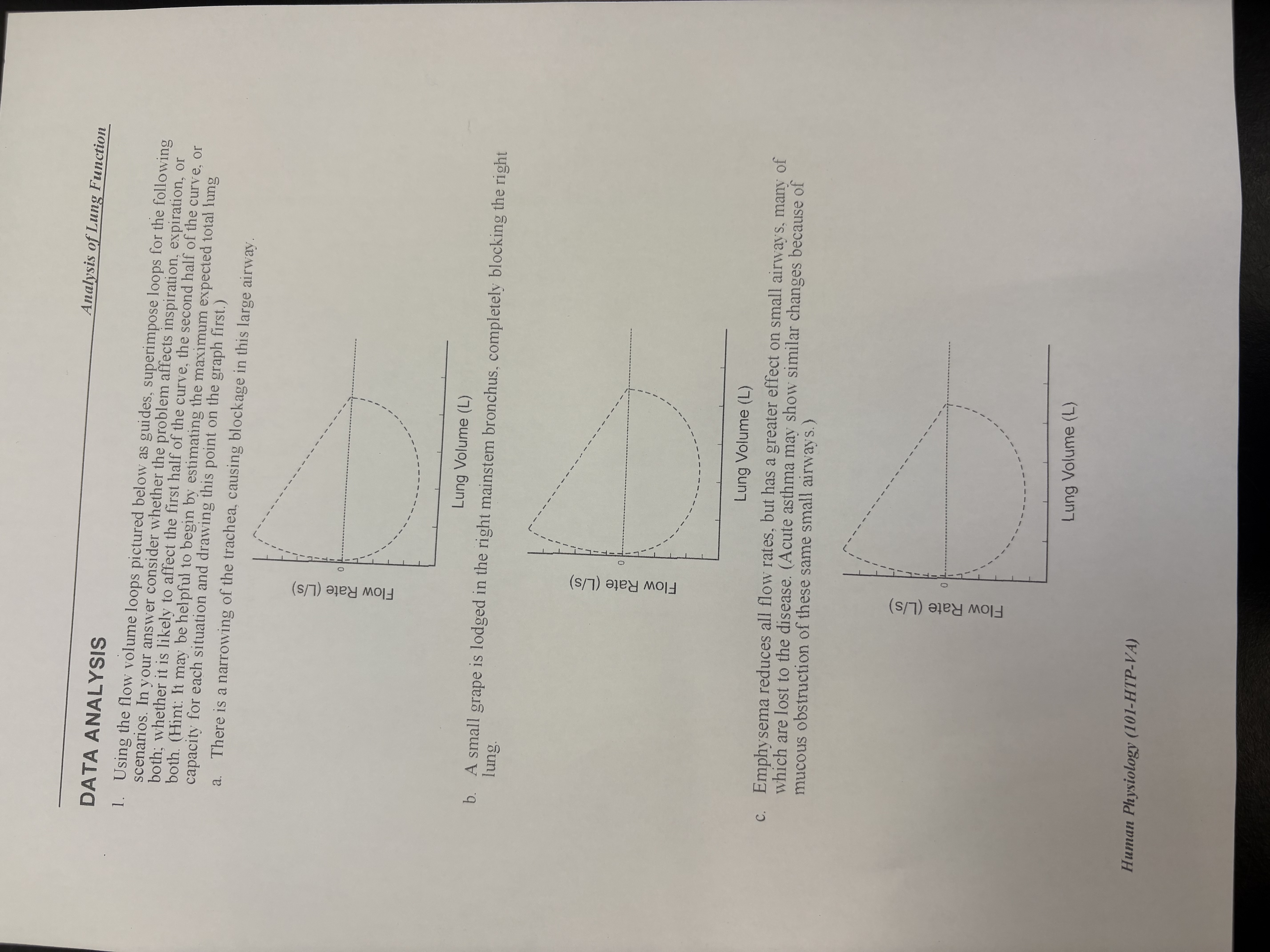 Solved DATA ANALYSIS 1. ﻿Using the flow volume loops | Chegg.com