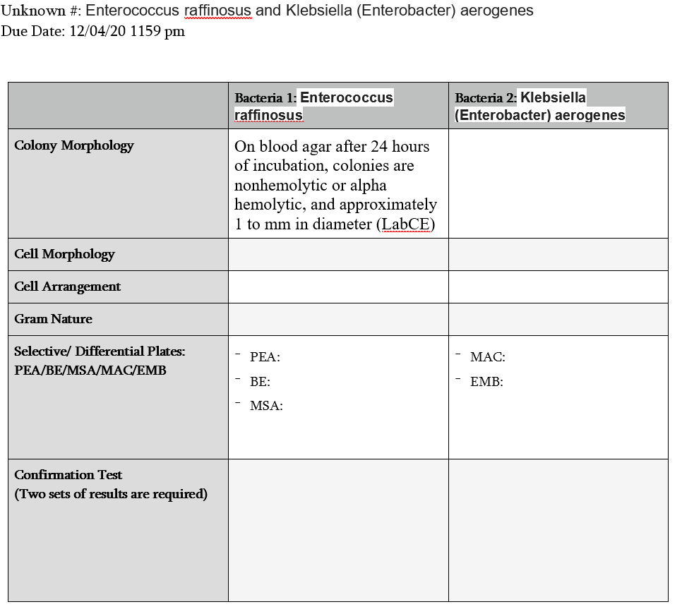 Solved Unknown #: Enterococcus raffinosus and Klebsiella | Chegg.com