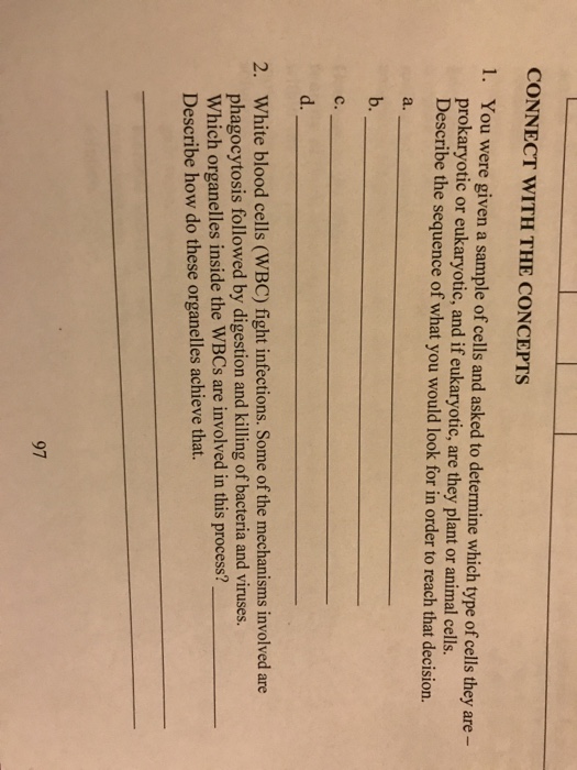 Solved 6. Why were you asked to use only the fine adjustment | Chegg.com