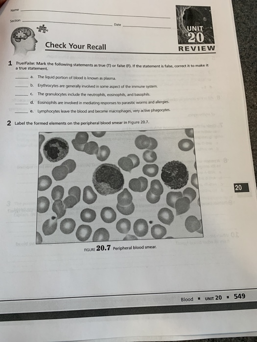 Solved Section Date UNIT 20 Check Your Recall REVIEW 1 | Chegg.com