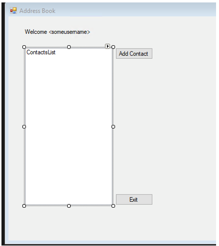 Visual Basics Code, address book assignment. create | Chegg.com