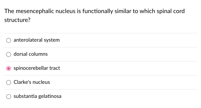 Solved The Mesencephalic Nucleus Is Functionally Similar To