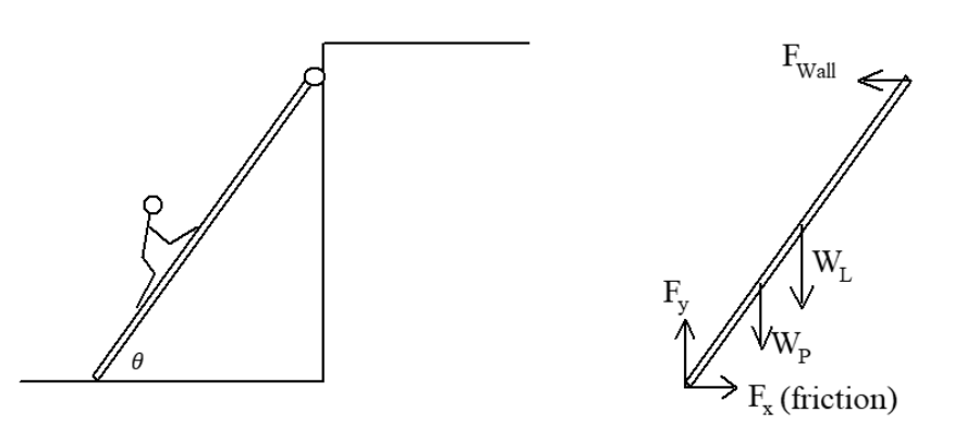 Solved A ladder of weight =81 N leans against a wall at an | Chegg.com