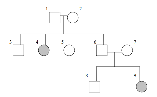 Solved For the following questions, use the pedigree below. | Chegg.com