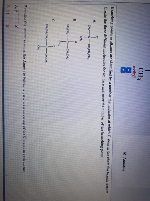 Solved Branching points in alkanes are identified by a | Chegg.com