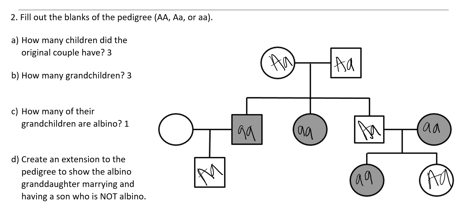Solved 2. Fill out the blanks of the pedigree (AA, Aa, or | Chegg.com