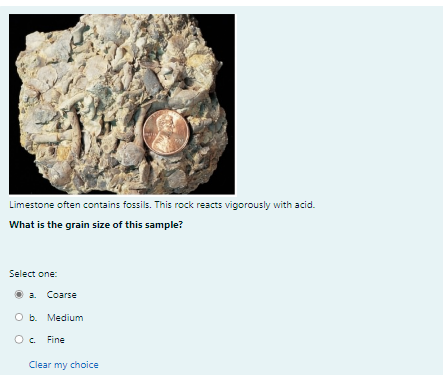Solved Limestone often contains fossils. It always reacts | Chegg.com
